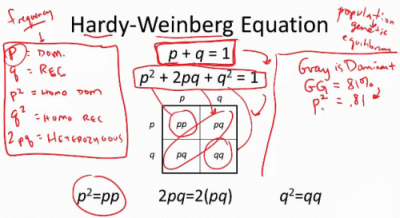 Grade 11 Biology Tutoring (Ontario Curriculum)