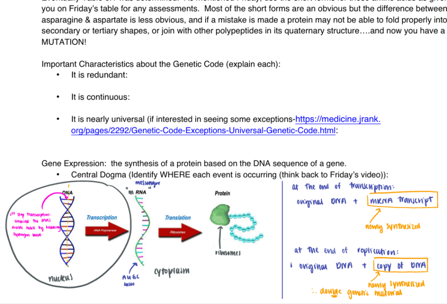 Bur Oak Secondary School (YRDSB) - Markham, Ontario - York Region ...